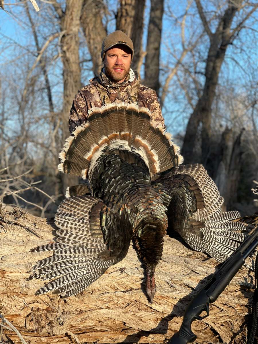 Southwestern Colorado Turkey Hunts Turkey Hunting Outfitters